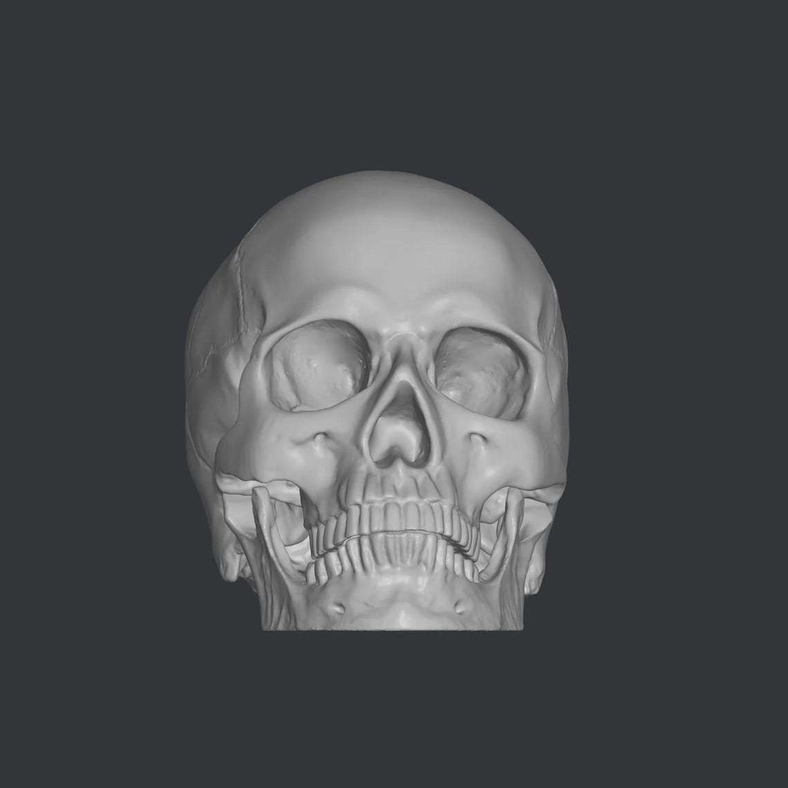 Realistic Skull Stl File 3d Printing, 3d Print File, Miniature, Super ...