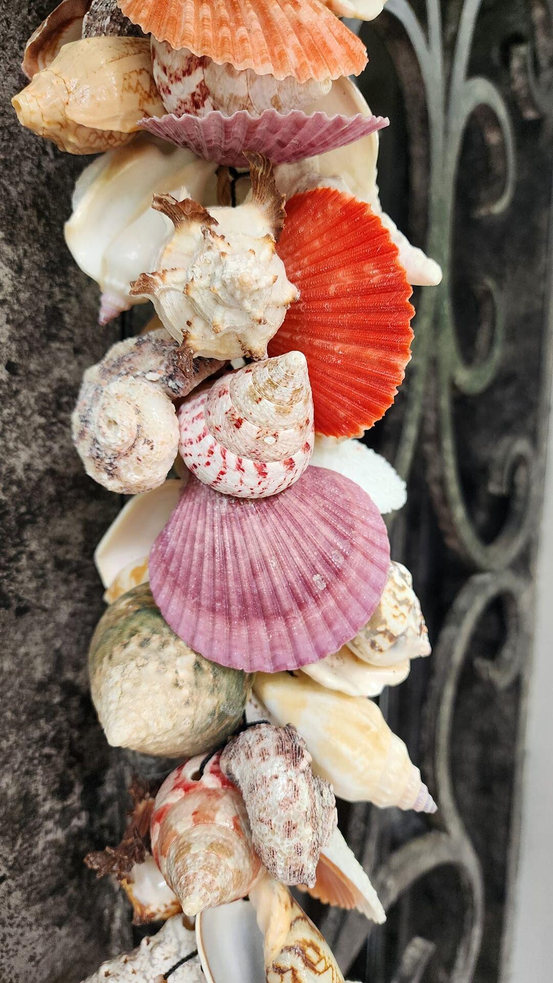 Seashell Garland Natural Shell Coastal Decor - Etsy