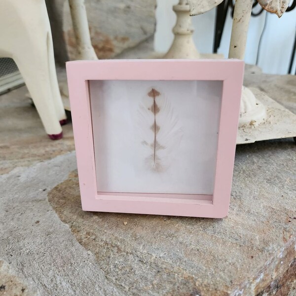 Framed Feather - Etsy