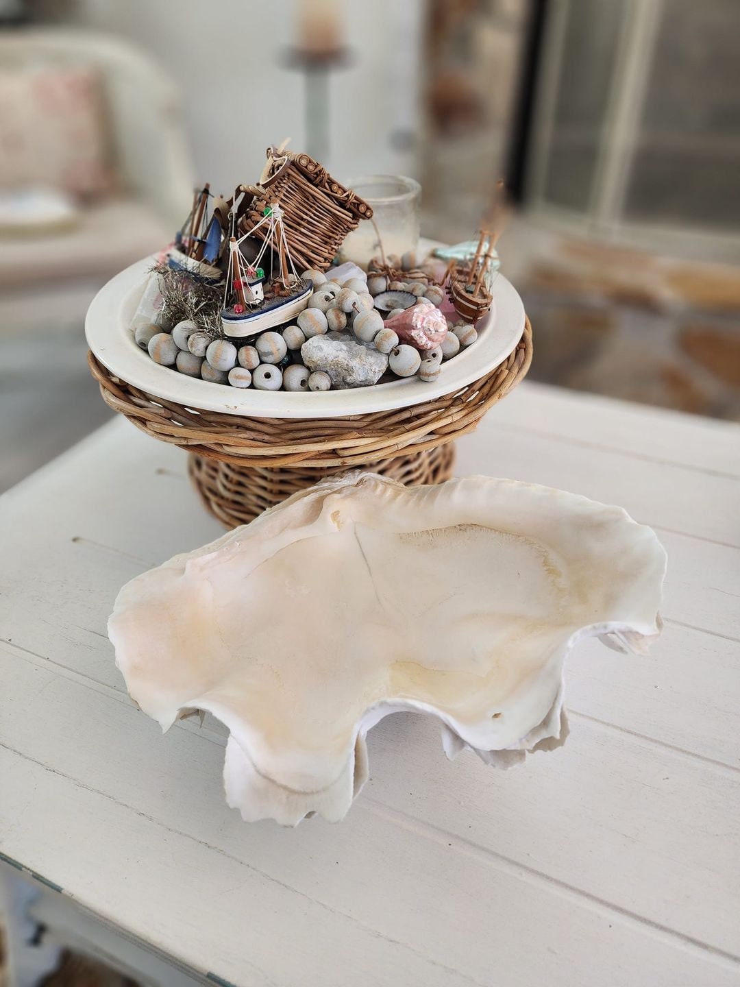 Large Ruffled Clamshell... Real Ocean Clam Shell - Etsy