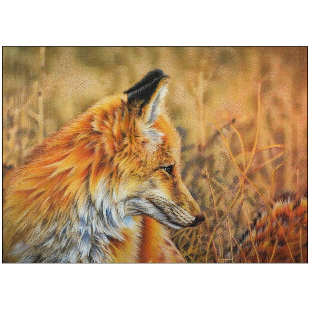 Red Fox Art Prints, Gifts for Red Fox Lovers, Wildlife Art, Red Fox ...