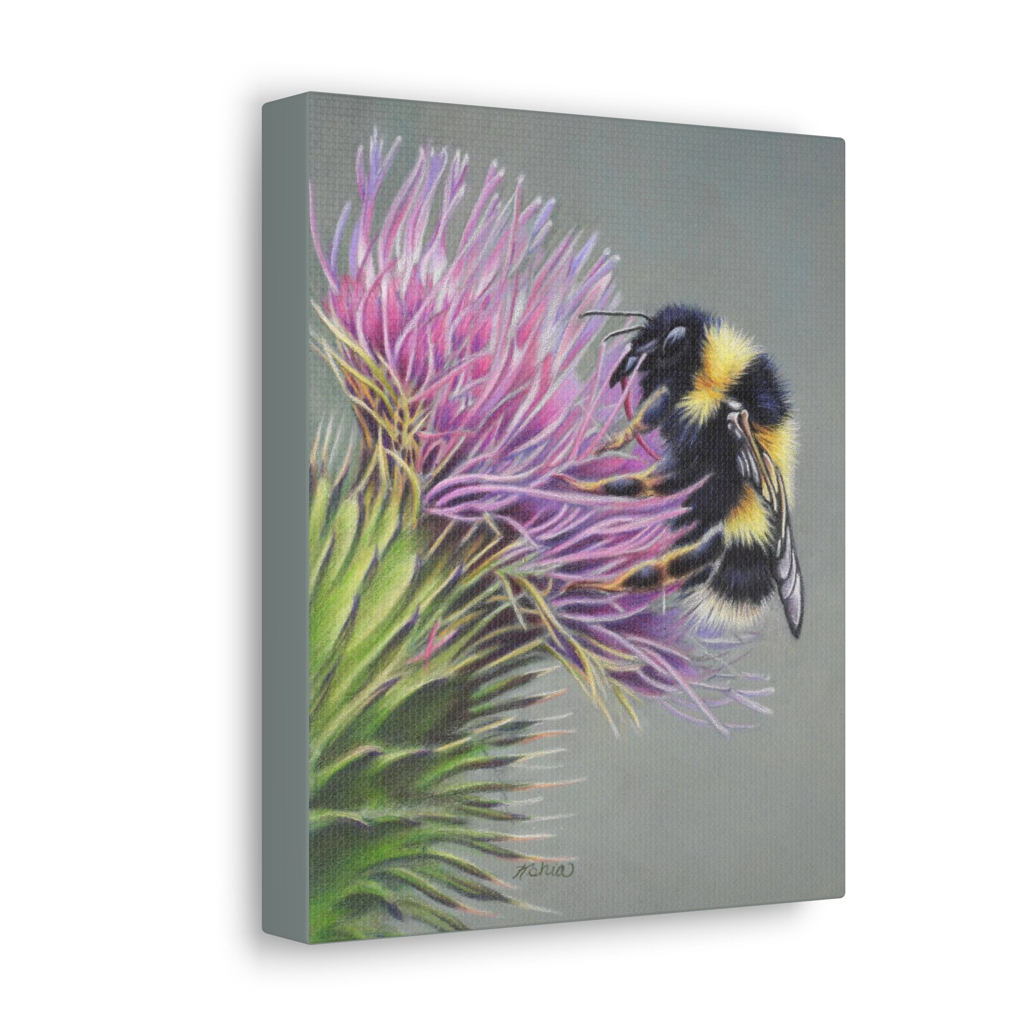 Bumblebee and Thistle Canvas Wrapped Ready to Hang Picture, Bee Keeper ...