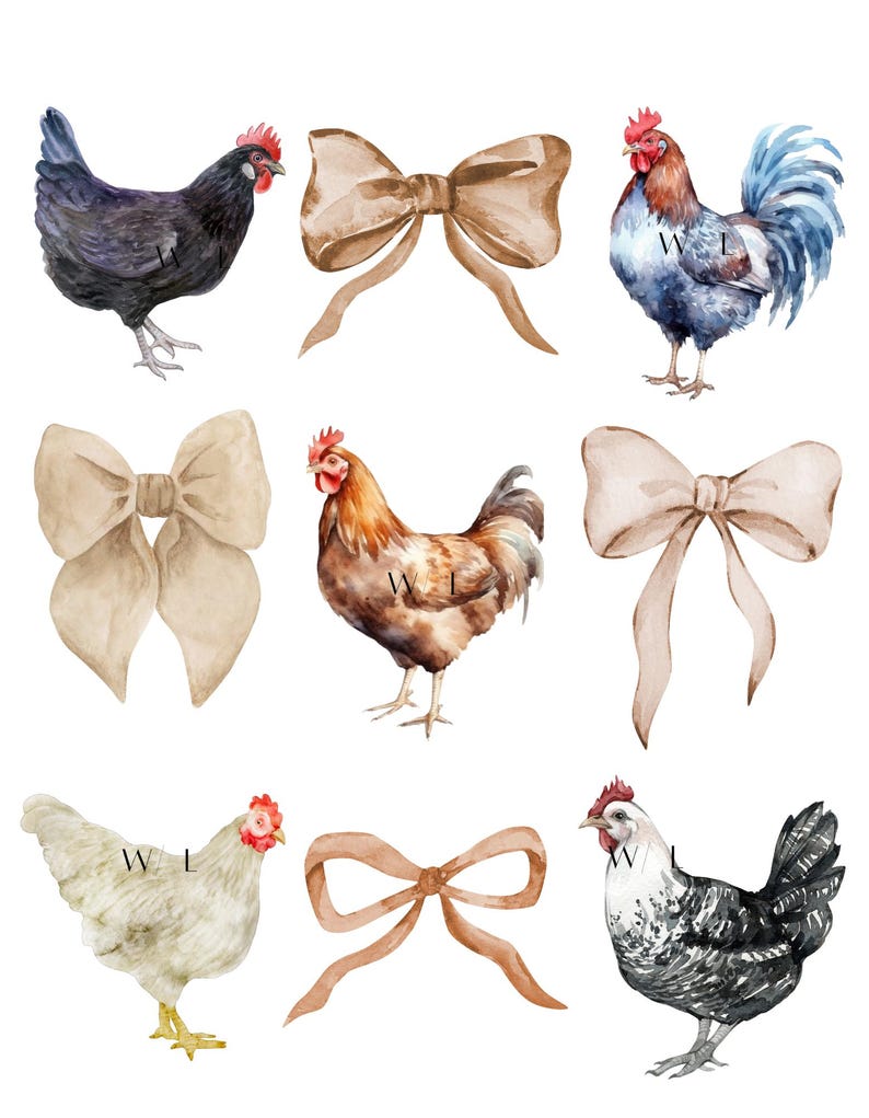 Chicken Bow PNG and SVG Files - Etsy
