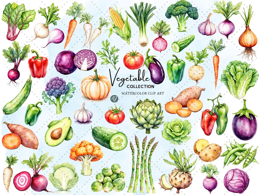 Cute Vegetable Clipart Bundle – Watercolor Carrot, Broccoli, Tomato ...