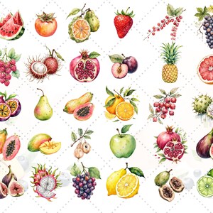 Watercolor Fruit Clipart Bundle Fresh Tropical Summer Fruits Set With ...