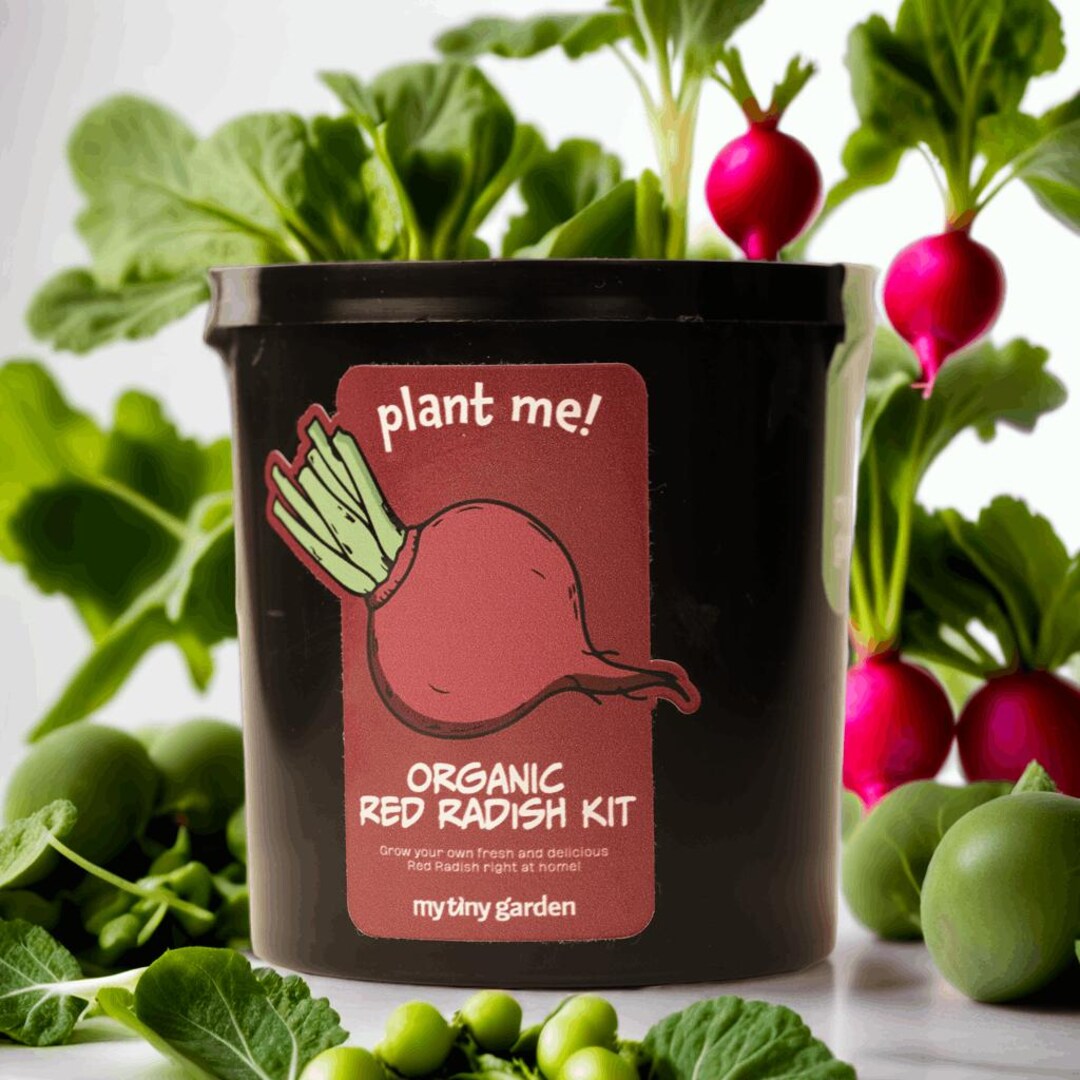Red Radish Growing Kit - Grow Your Own Nutritious Red Radishes - Etsy