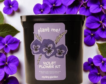 Violet Growing Kit - Grow Your Own Stunning Violets - Etsy