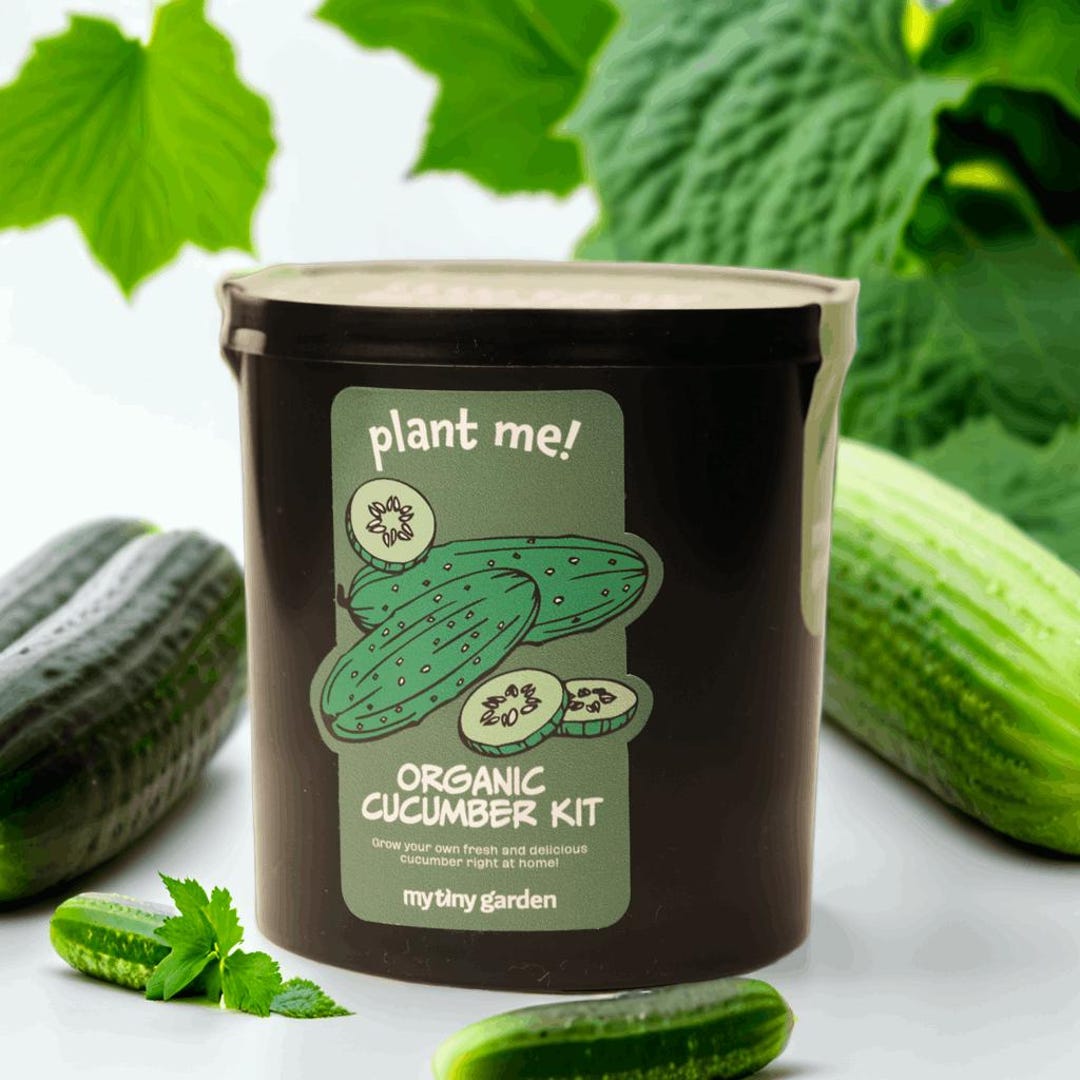 Cucumber Growing Kit - Grow Your Own Nutritious Cherry Cucumbers - Etsy