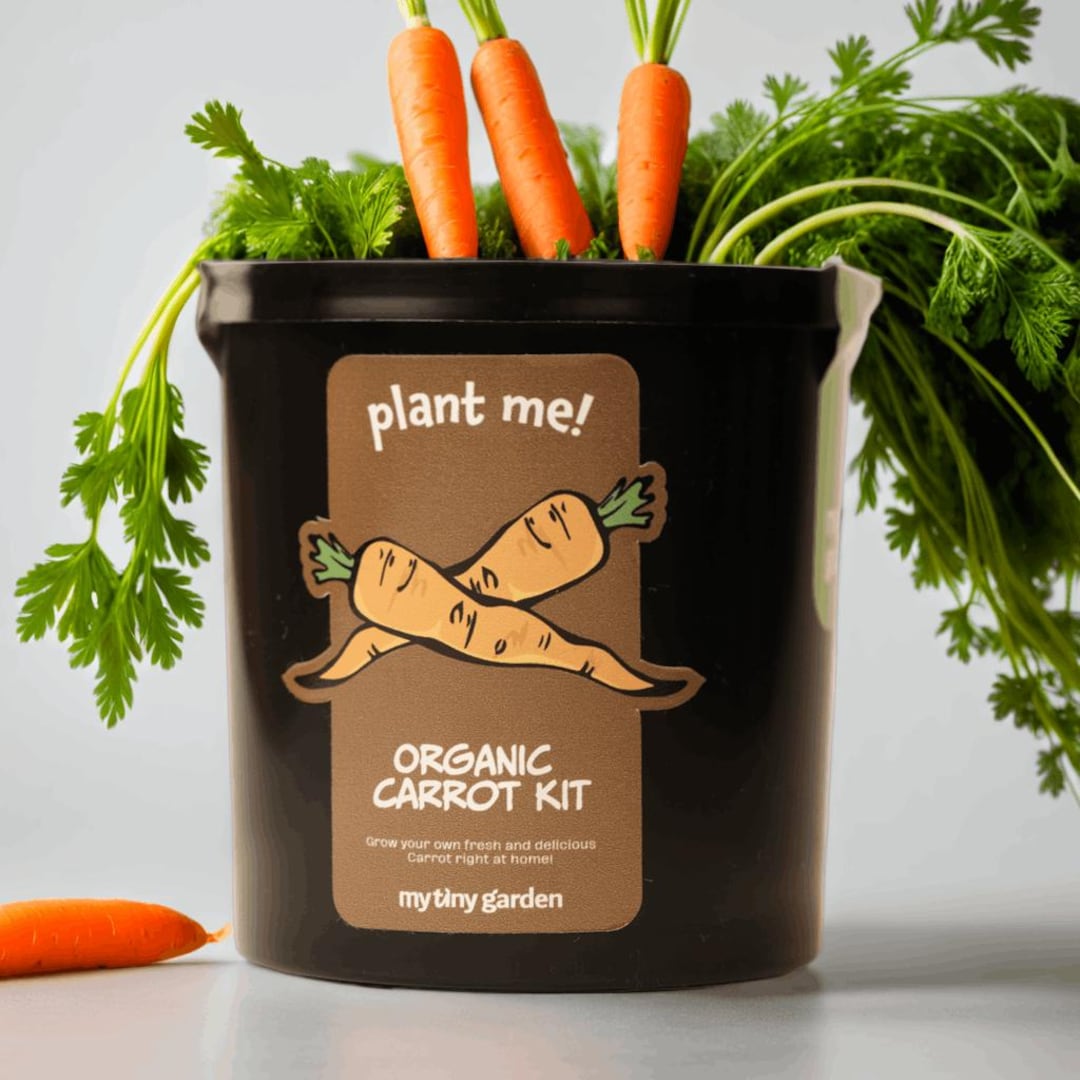 Carrot Growing Kit - Grow Your Own Nutritious Carrots - Etsy