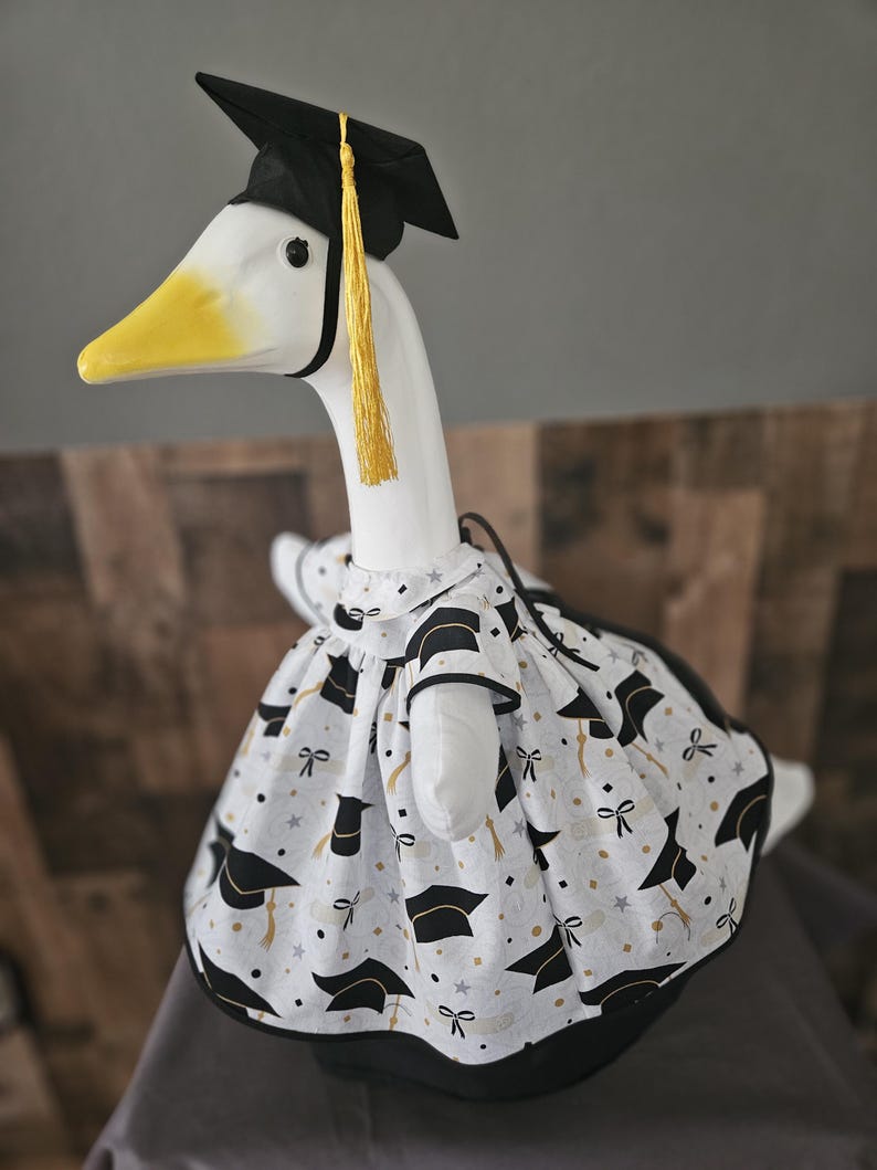 Porch Goose Dress GRADUATION Cap and Gown - Etsy