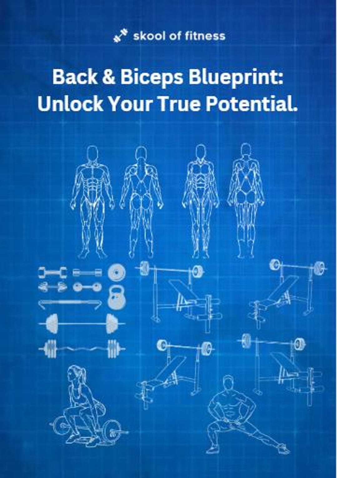 IFBB PRO Back and Biceps Blueprint - Etsy