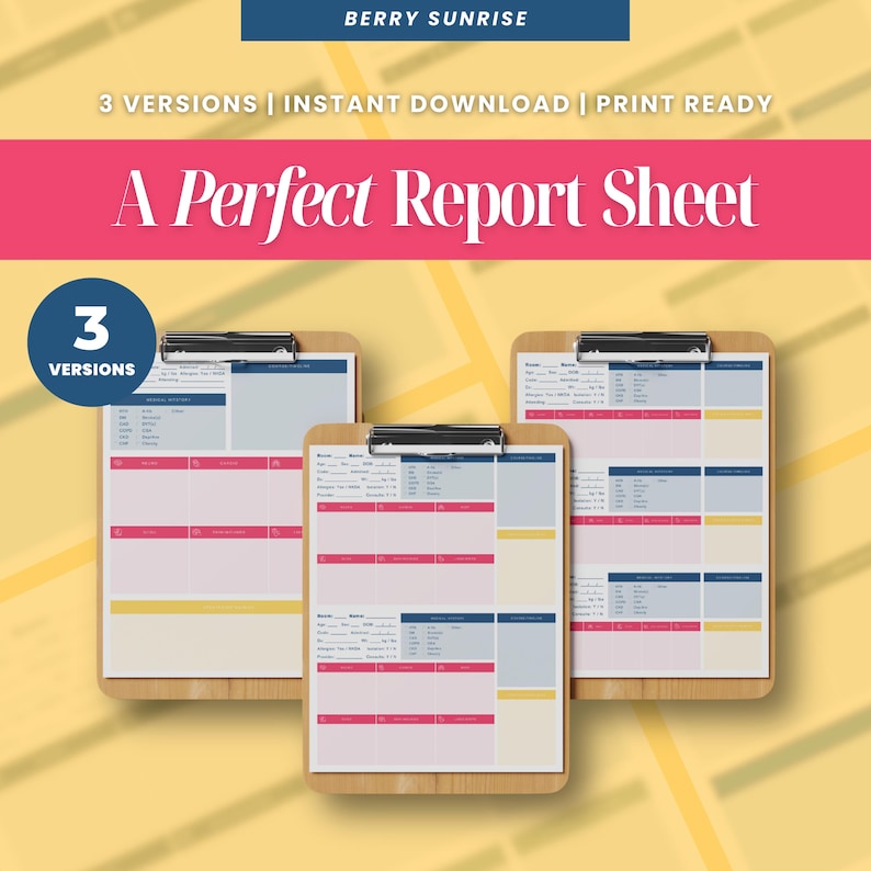Nursing Report Sheets Nurse Brain Sheet | Printable Digital Download ...