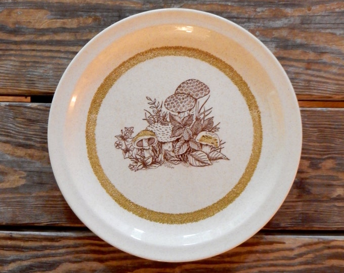 1970s Hippie Mushroom Plates Set of 4 Stoneware Dinner Size - Etsy