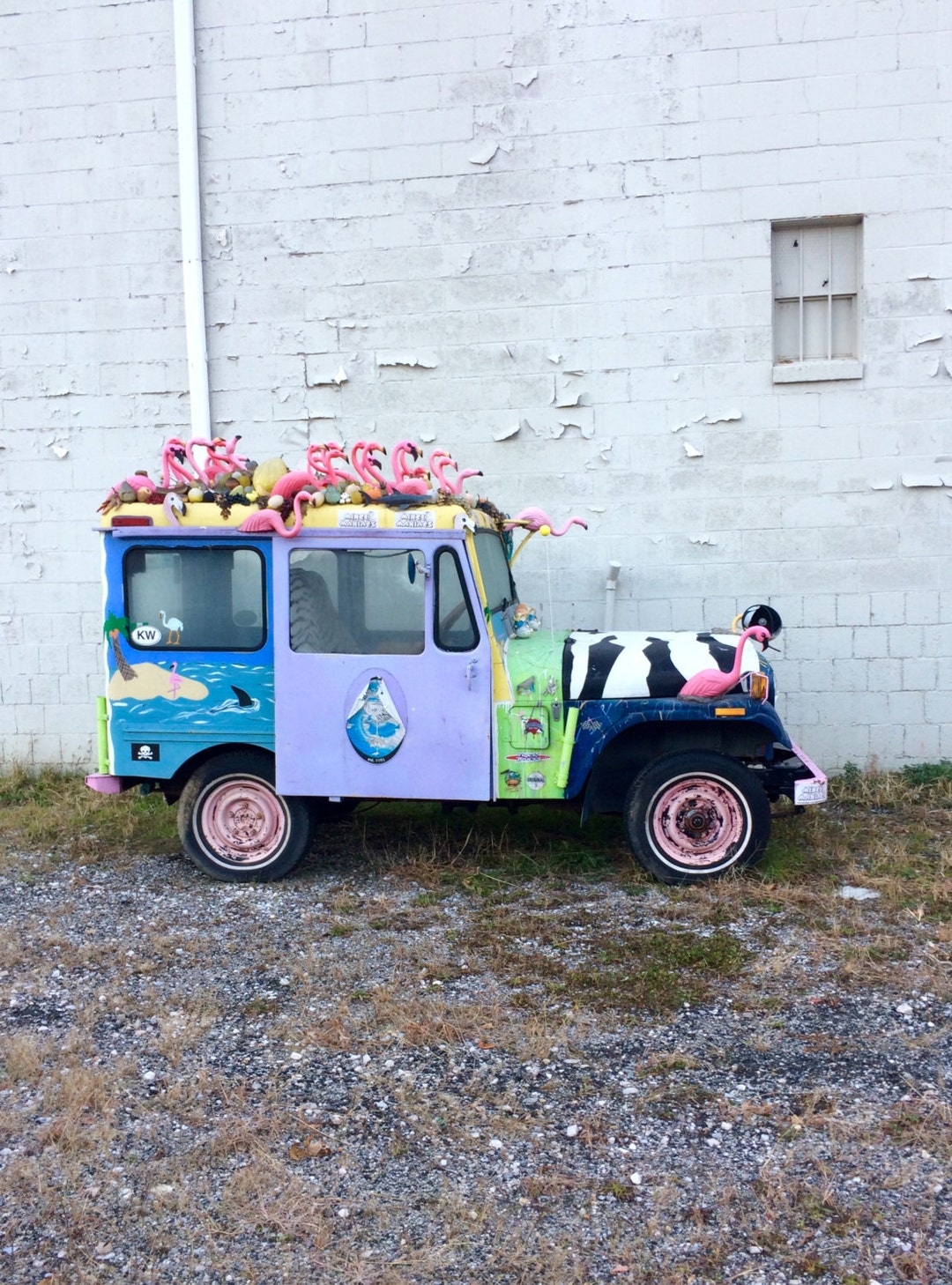 Pink Flamingos Flock Car Quirky Baltimore Street Photograph Art Scene ...