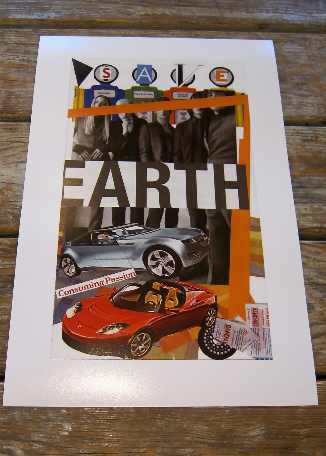 Collage Art Print SAVE EARTH Limited Edition Signed Phipps Y Moran ...