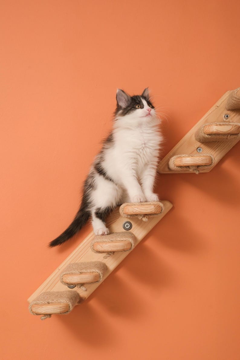 Wall Mounted Cat Stairs for Climbing, Wooden Cat Steps With Sisal Rope ...