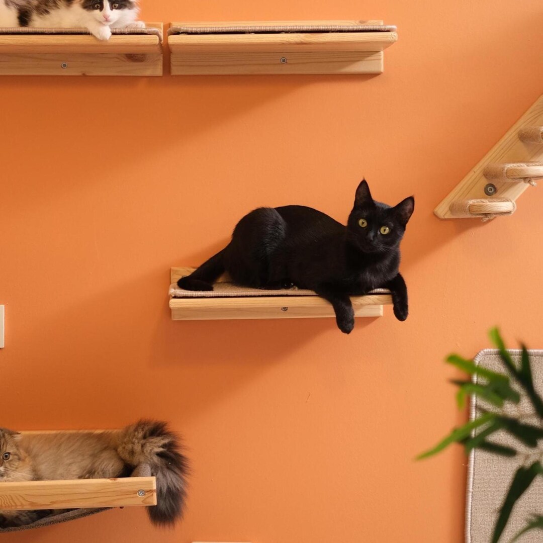 Modern Wall-mounted Cat Shelves - Etsy