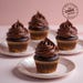 BEST RECIPE for Chocolate Cupcakes | Moist & Rich Bakery-style Cupcakes ...