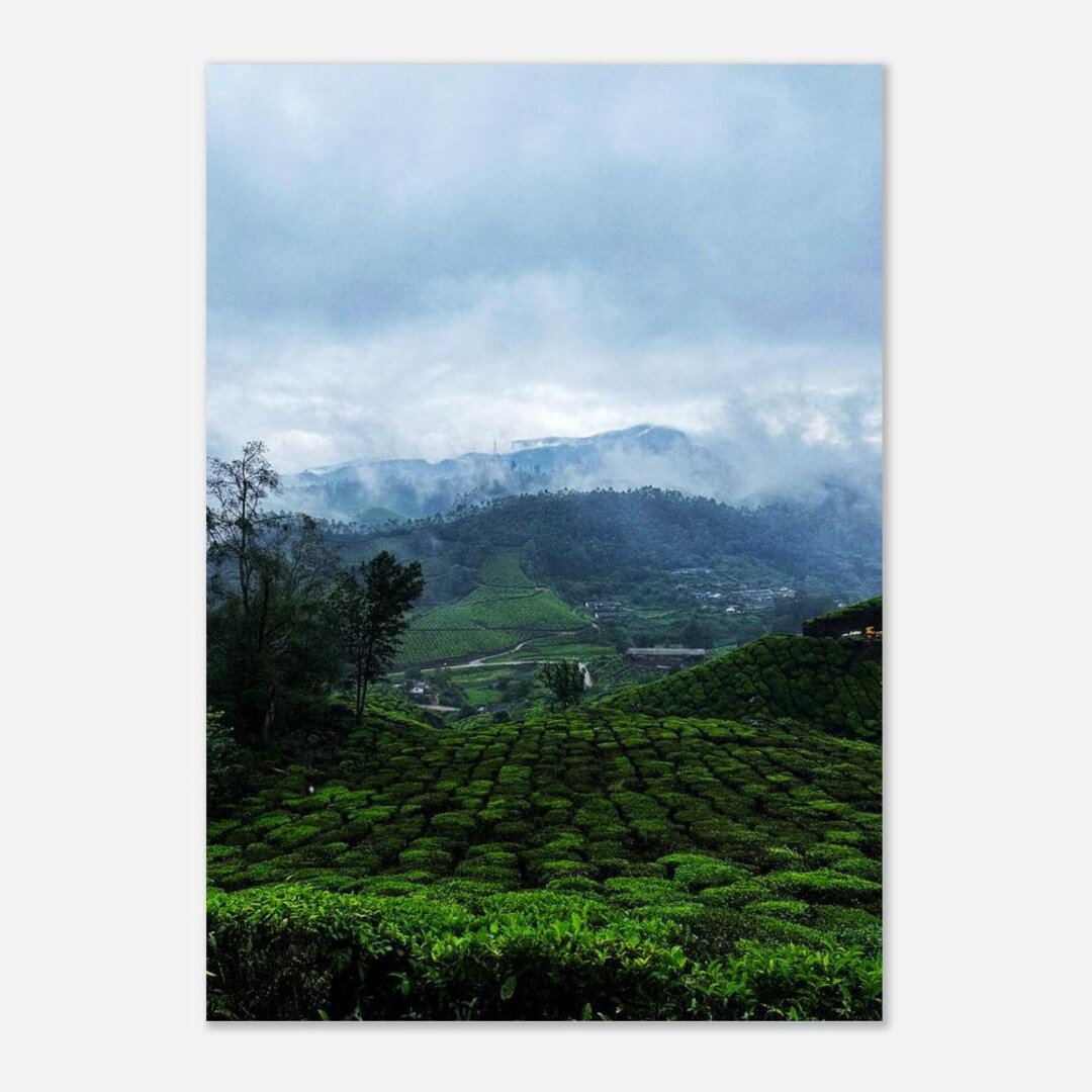 Munnar Hills 1 | Tea Gardens Kerala, India | Colour Image Photography ...