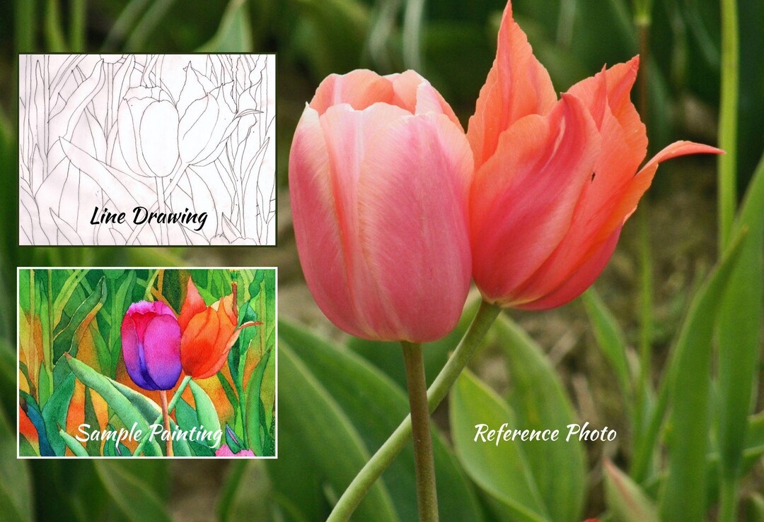 Watercolor Tracing Outline Drawing -- Tulips "cheek to Cheek" - Etsy ...