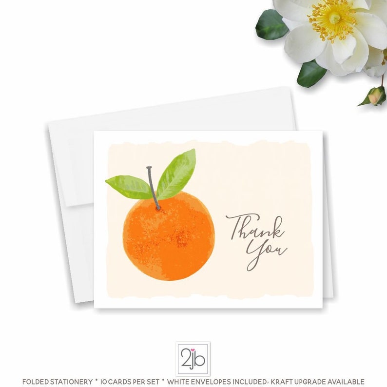Orange Note Cards Clementine Thank You Notes Citrus Fruit - Etsy