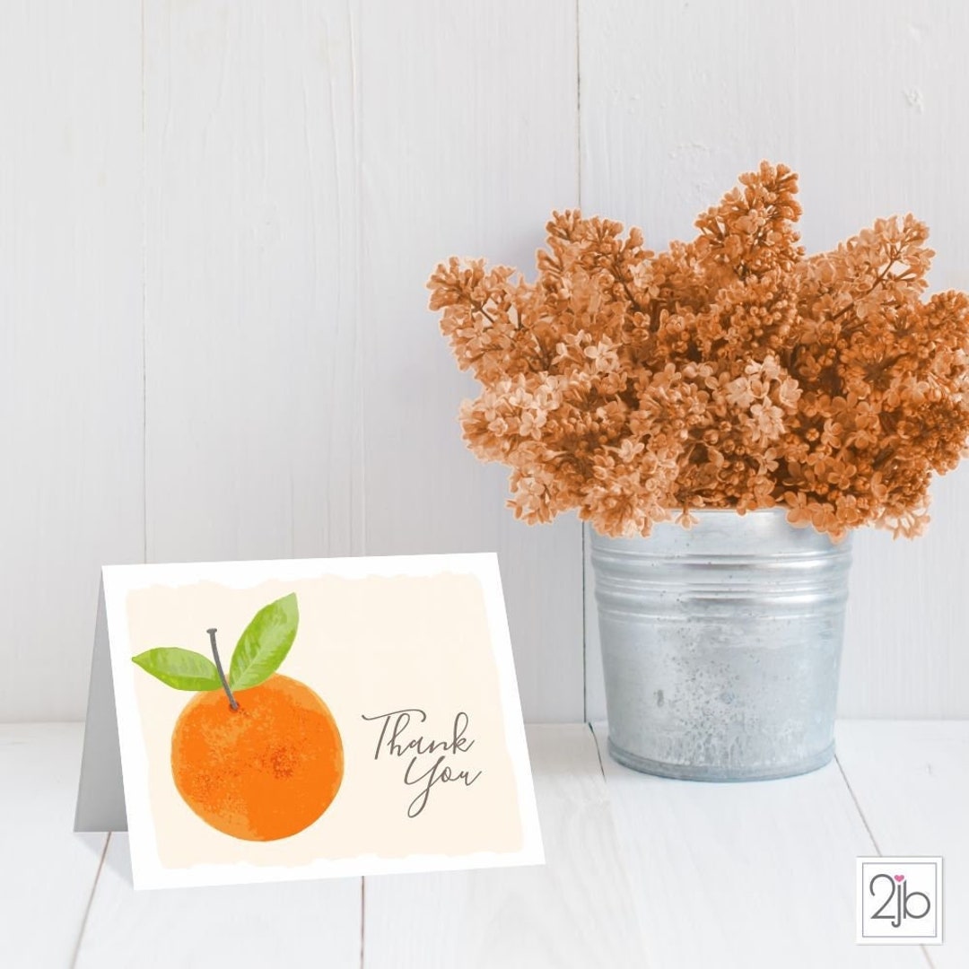 Orange Note Cards Clementine Thank You Notes Citrus Fruit - Etsy