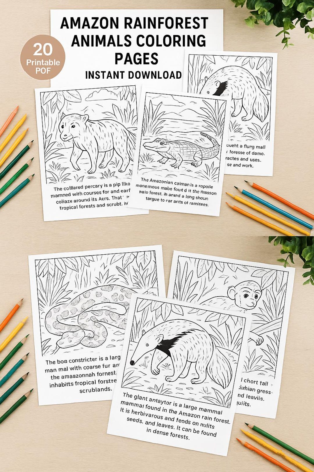 Amazon Rainforest Animals Coloring Book | Jungle Printable (digital ...
