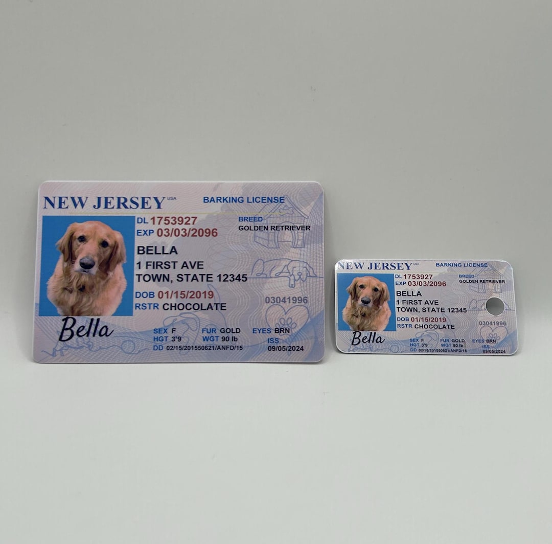 Custom Dog Driver License Card and Key Tag, Personalized Plastic Dog ...