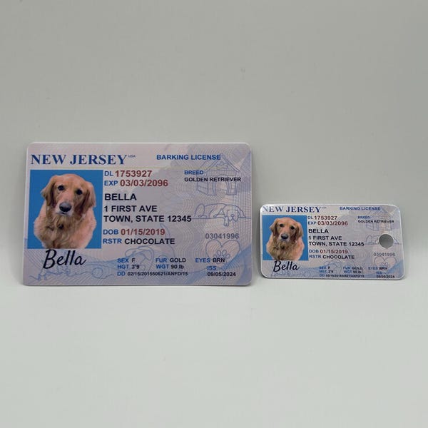 Dog Driver License - Etsy