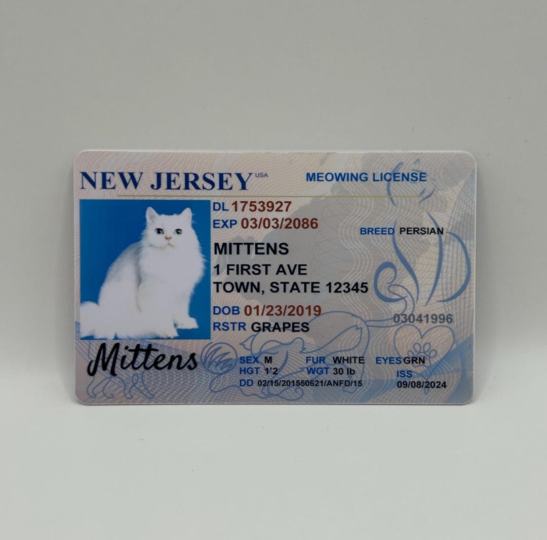 Custom Cat Driver License Card and Key Tag, Personalized Plastic Cat ...