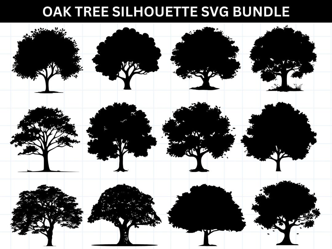 Oak Tree SVG Bundle , Tree Svg, Big Tree Svg, Oak SVG, Outdoor SVG ...