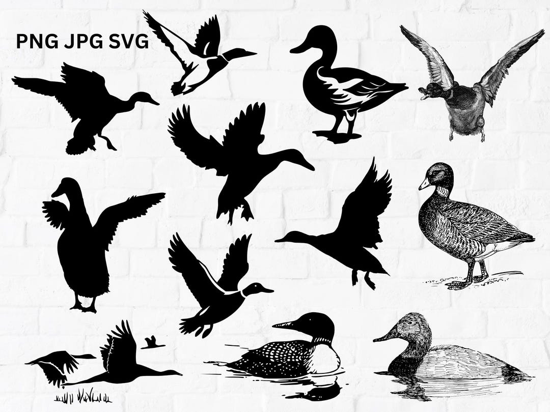 Flying Duck SVG Bundle, Flying Duck Dxf, Flying Duck Png, Flying Duck ...
