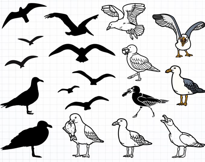 Flying Seagull Svg. Vector Cut File for Cricut, Silhouette, Pdf Png Eps ...