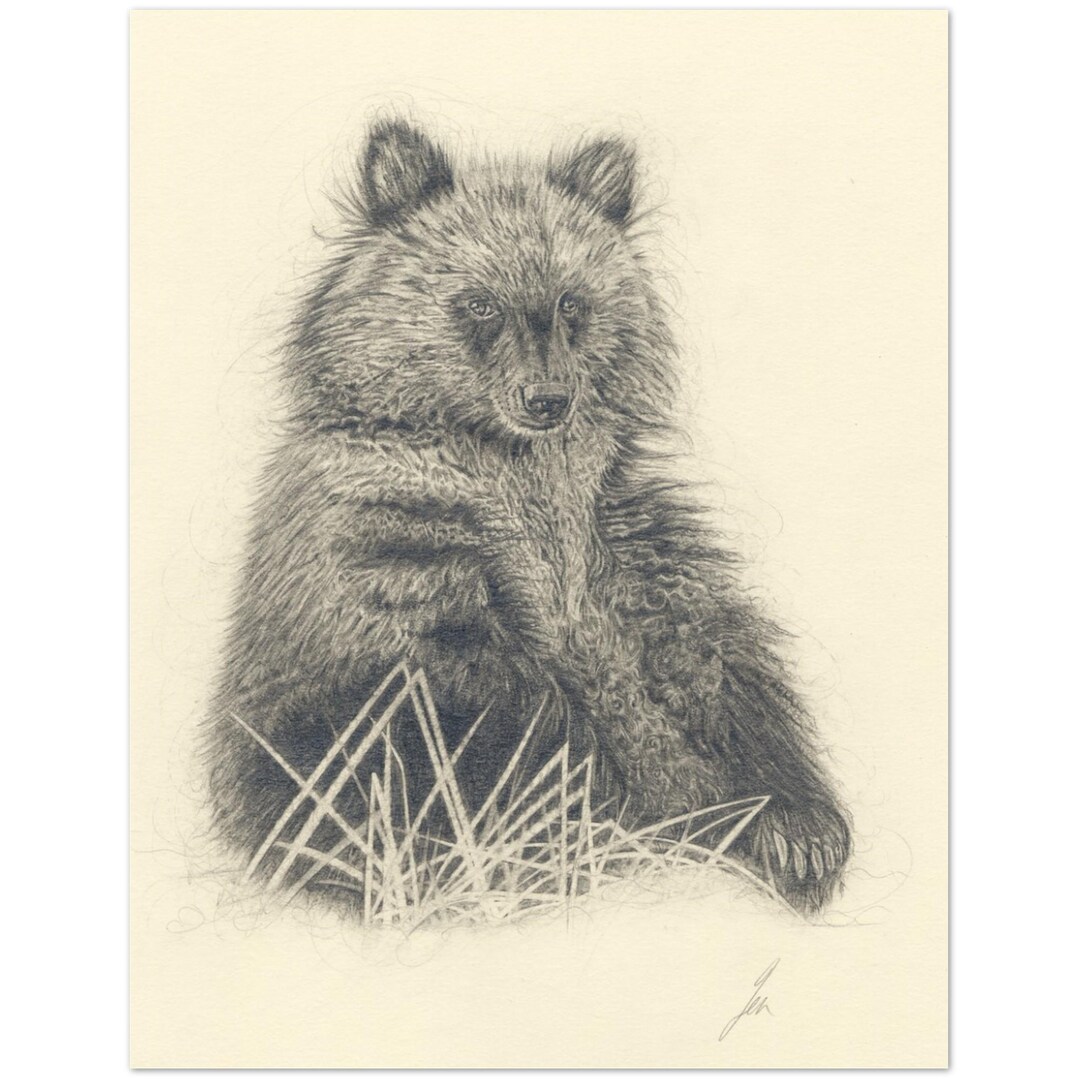 Little Bear Cub Greeting Cards: Hand-drawn Wildlife Art, Graphite ...