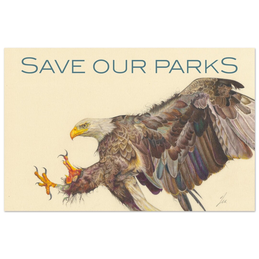 Save Our Parks Wall Art Poster Eagle Art Nature Lover of Parks National ...