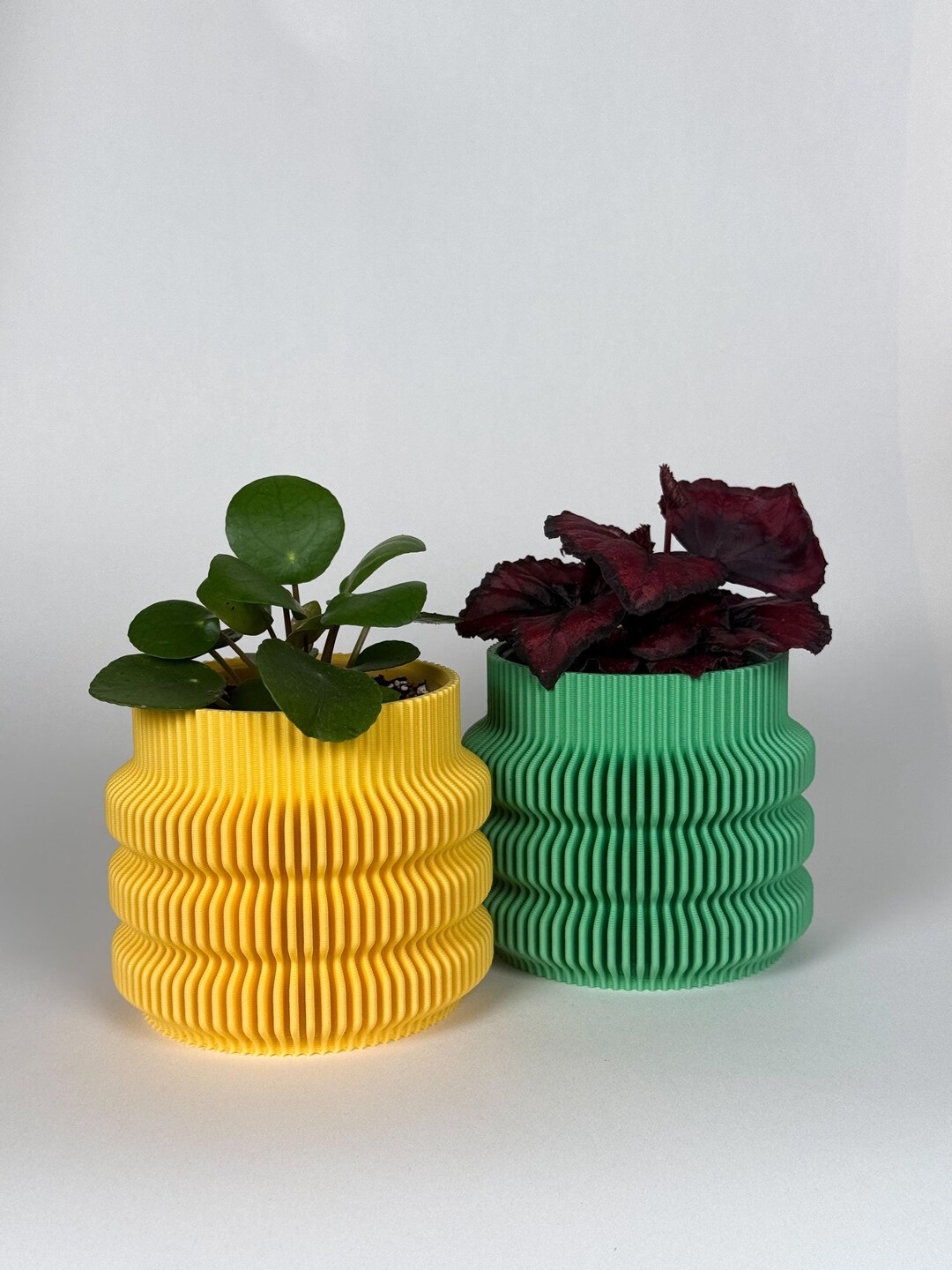 Wavy Plant Pot – Modern Decorative Planter in Multiple Sizes for Indoor ...
