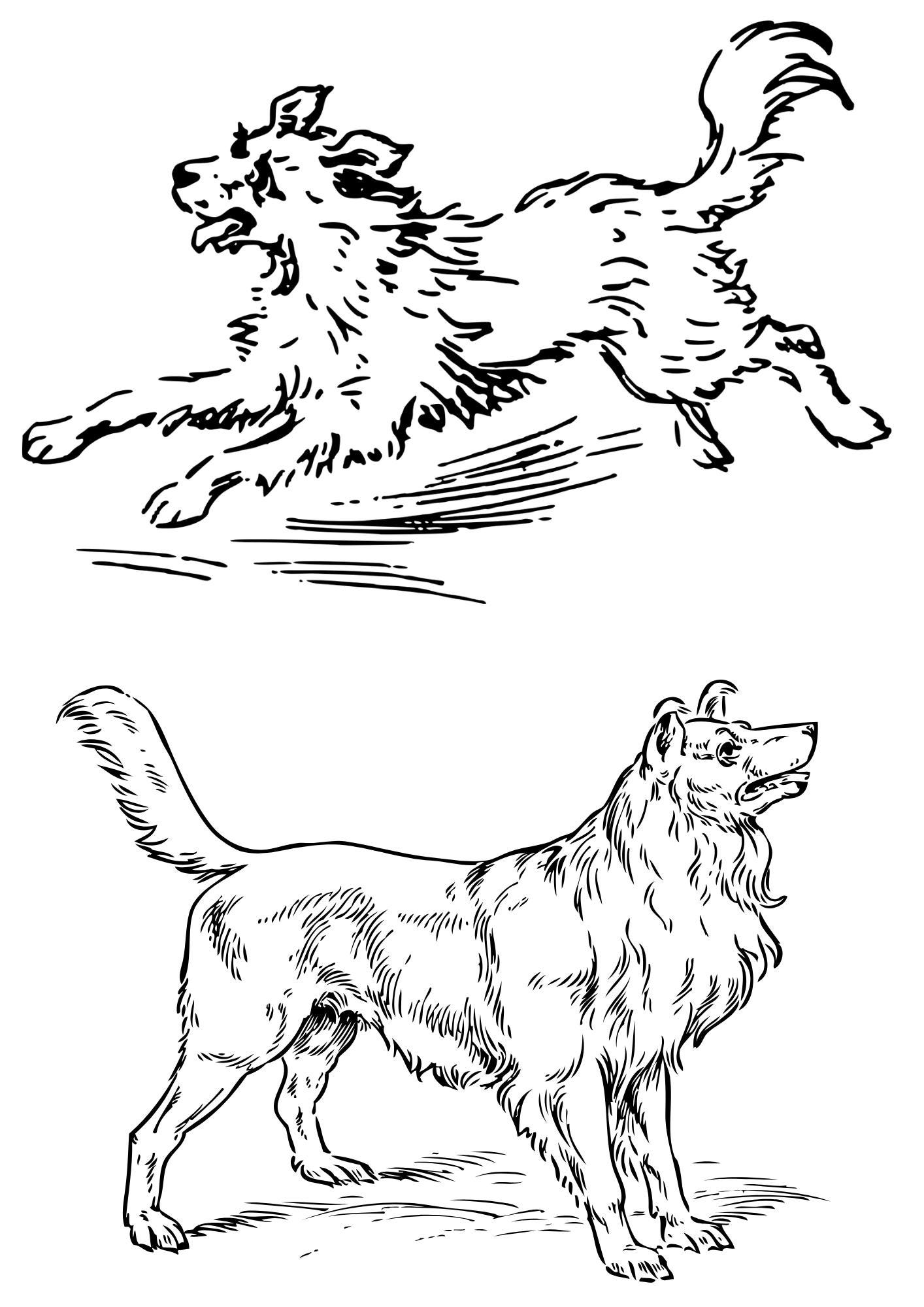 Coloring Page - Girl With a Dog, Download - Etsy