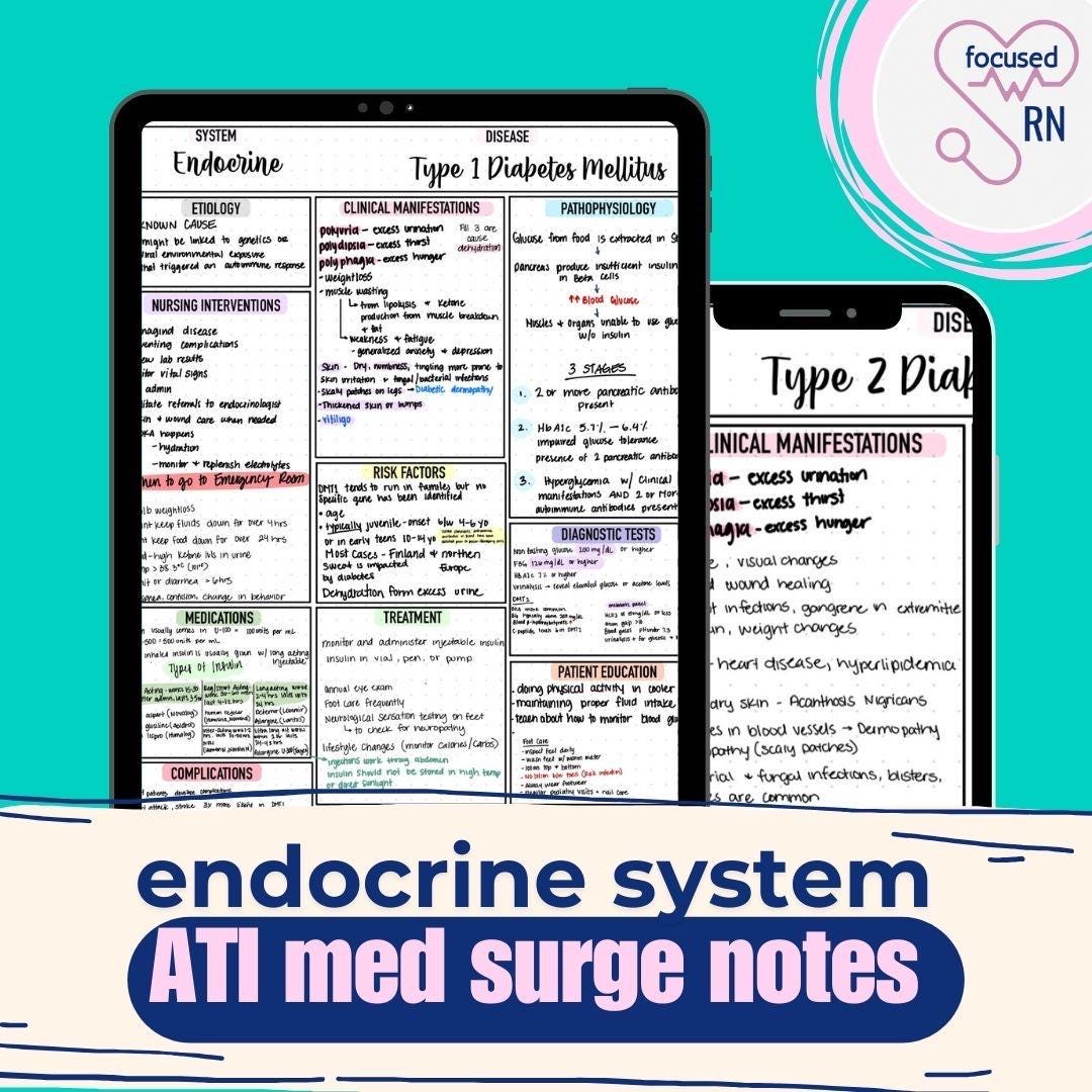 ATI Med-surg Endocrine Study Guide | Nursing School Notes PDF - Etsy