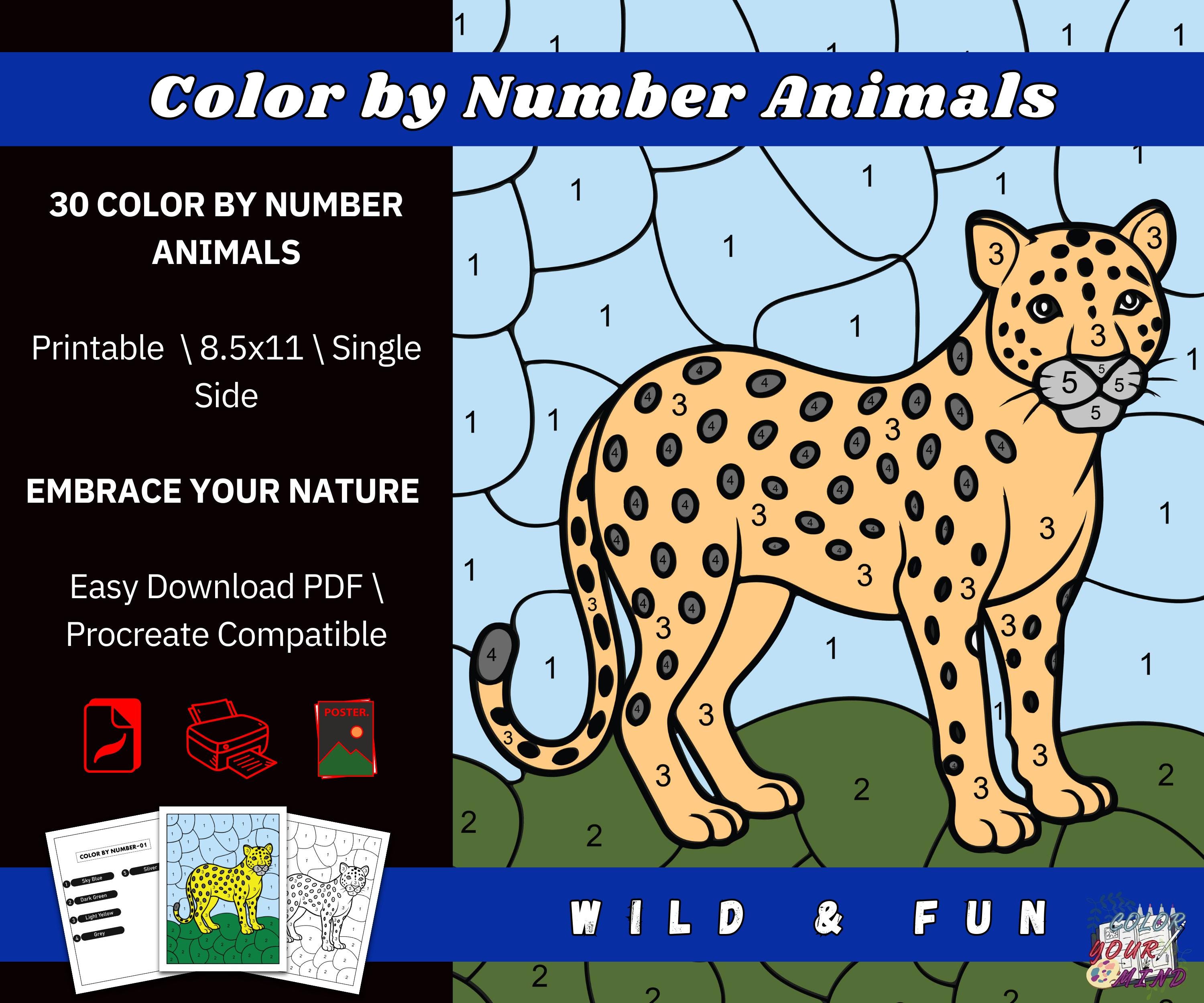 Color by Number Animals Digital Coloring Book | Procreate Compatible ...