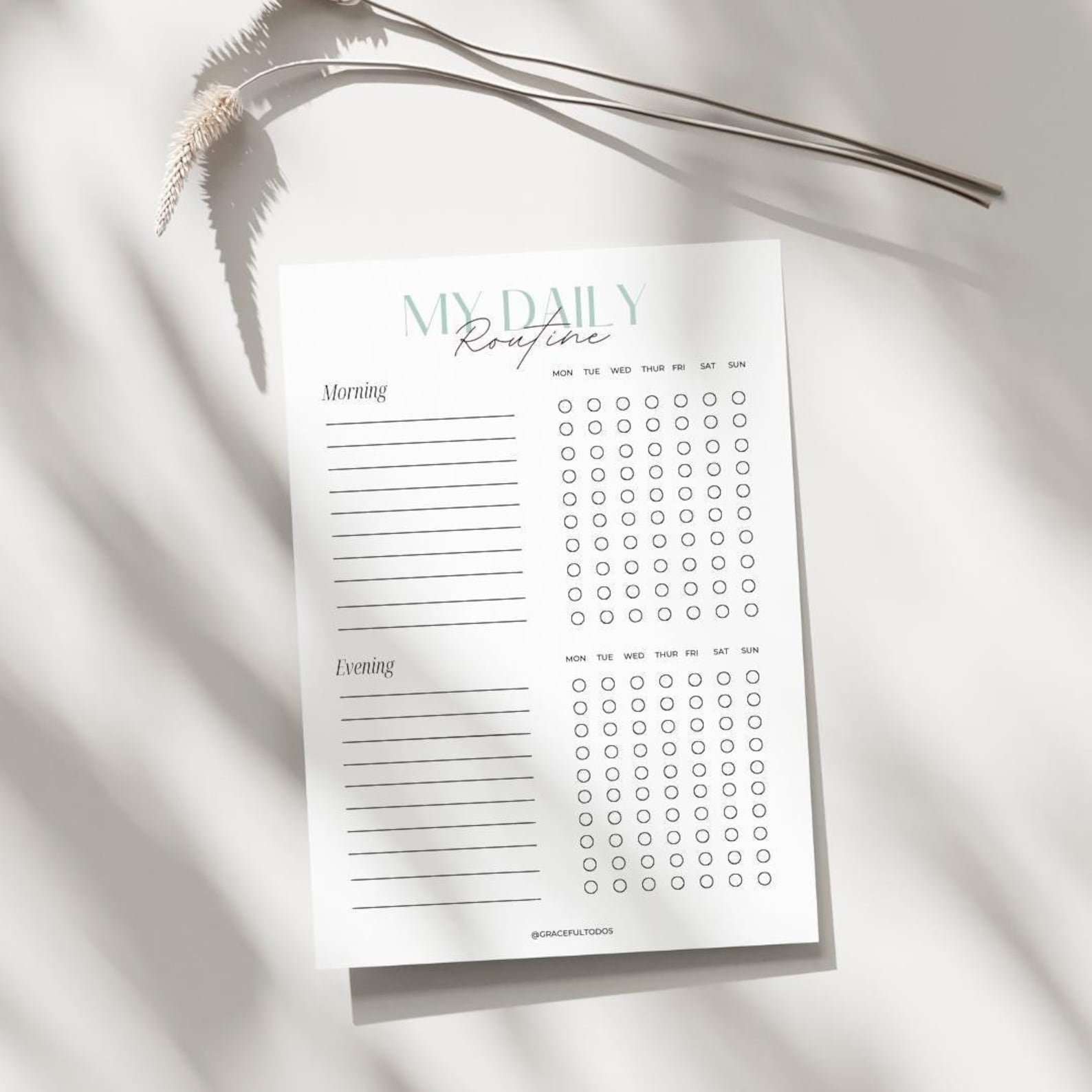 Daily Routine AM PM Checklist Printable Download Blank Habit Tracker ...