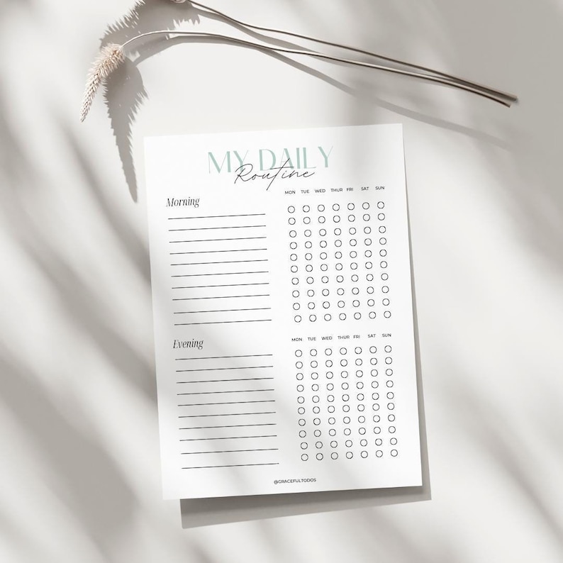 Daily Routine AM PM Checklist Printable Download Blank Habit Tracker ...