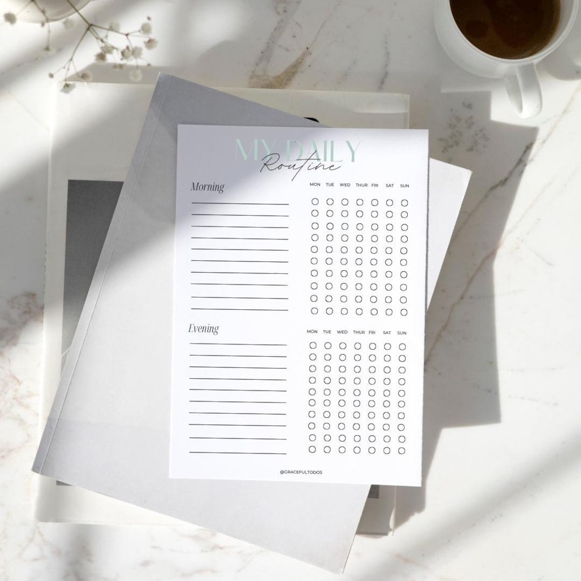 Daily Routine AM PM Checklist Printable Download Blank Habit Tracker ...