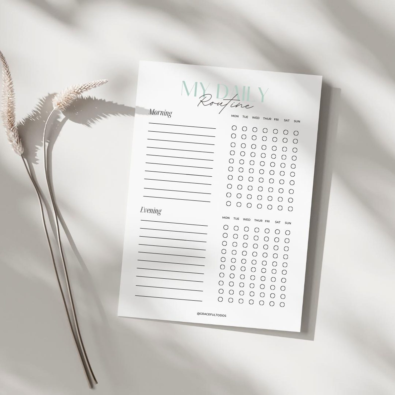 Daily Routine AM PM Checklist Printable Download Blank Habit Tracker ...