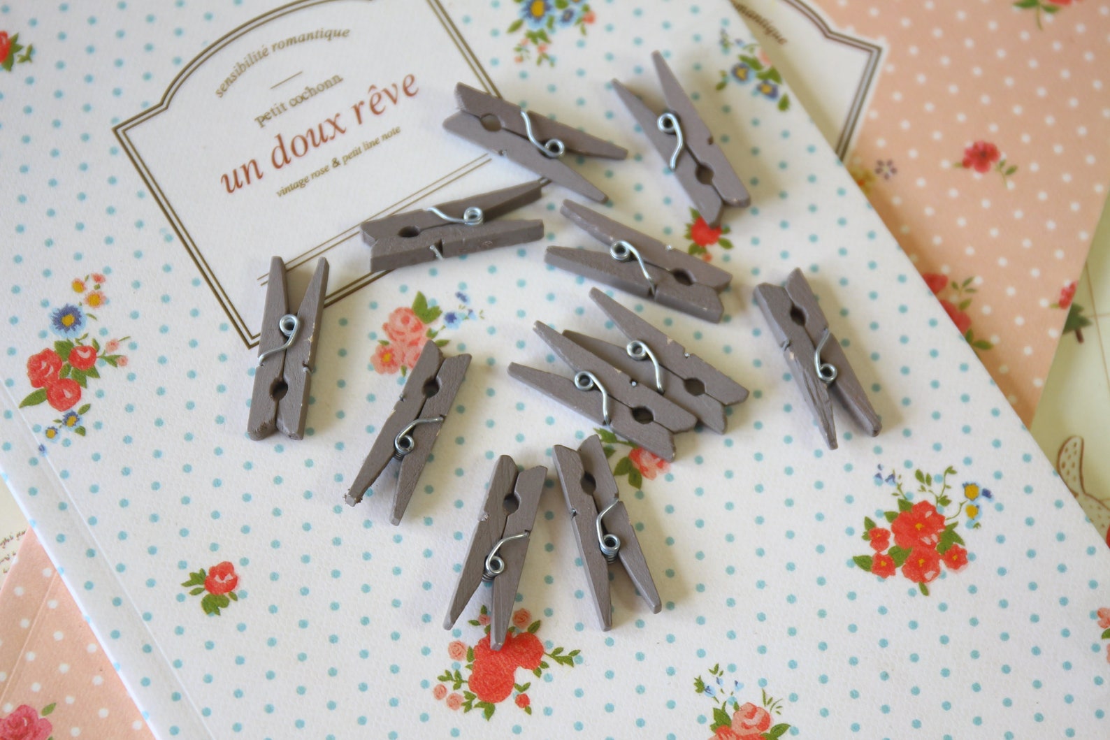 Brown Plain Colour Mini Pegs Note Clips - Etsy