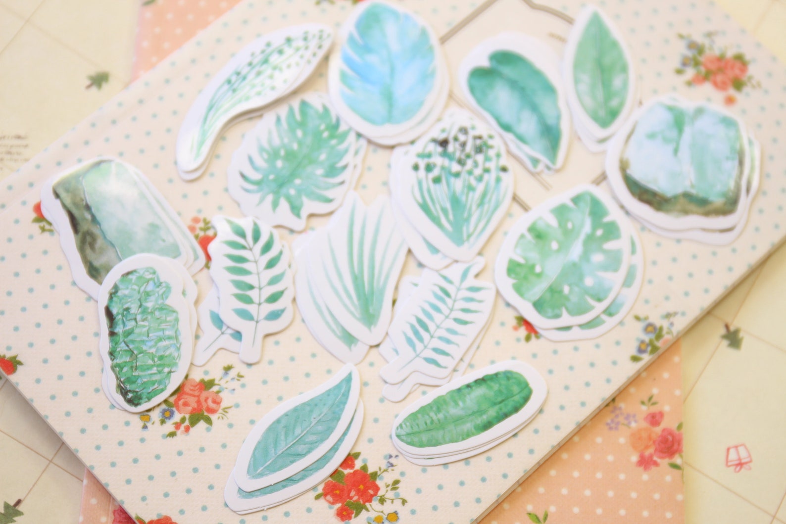 Mint Diary Mo-card Cartoon Leaf Shapes Stickers | Etsy