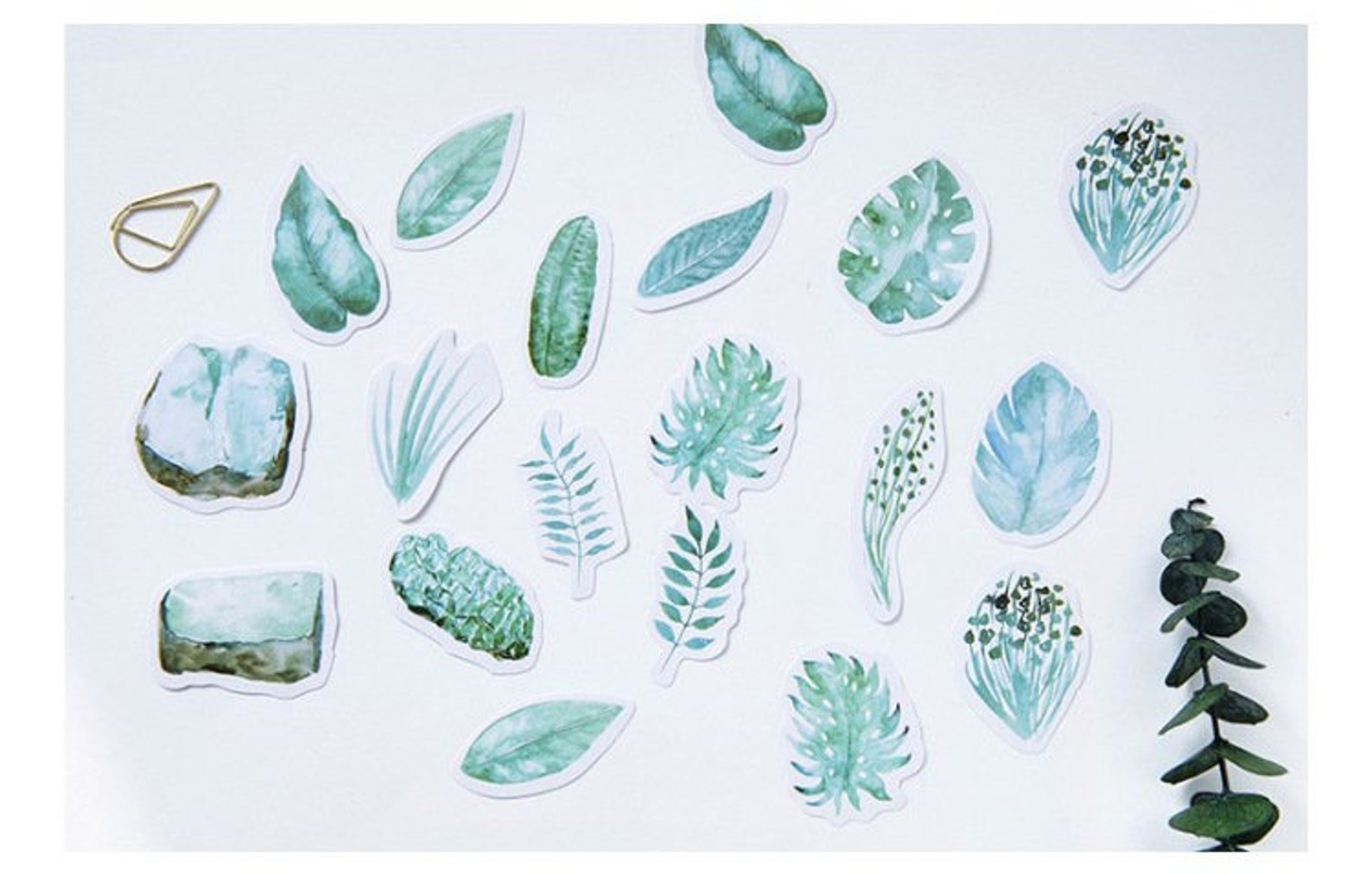 Mint Diary Mo-card Cartoon Leaf Shapes Stickers - Etsy