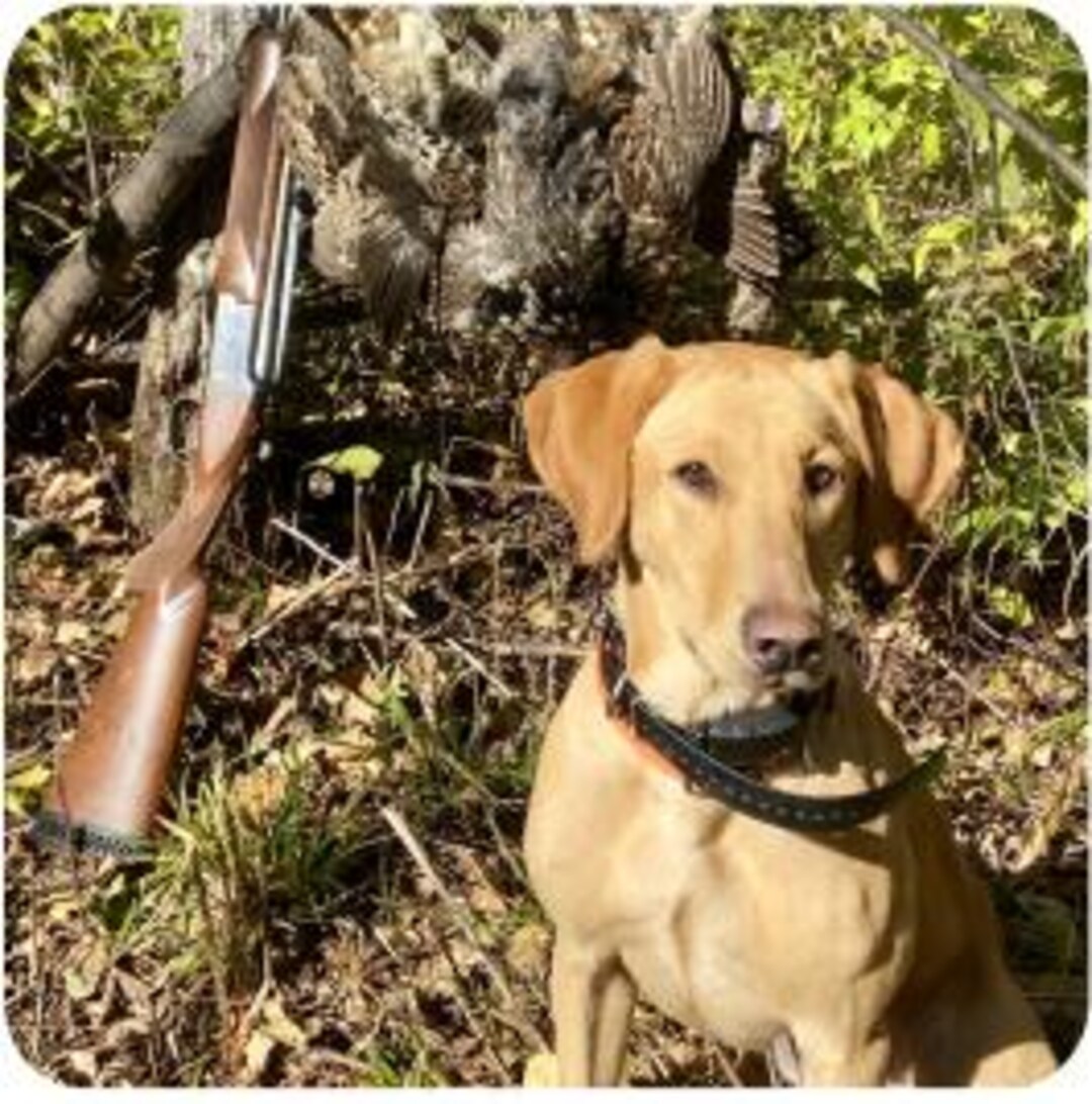 Magnets 3x3 Custom Photo Magnet Keepsake Magnet Wedding Favors - Etsy