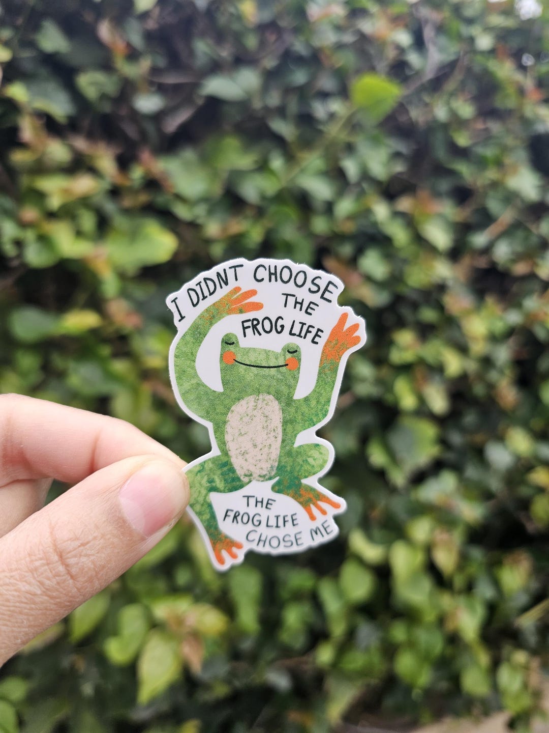 Funny Tree Frog Meme Sticker: "frog Life Chose Me" Vinyl Decal - Etsy