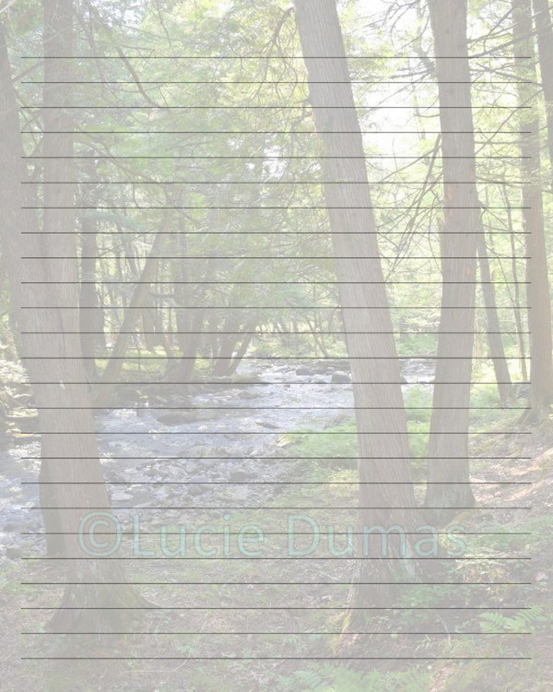 Digital Printable Journal Writing Lined Page Photo 27 Forest Stationary ...