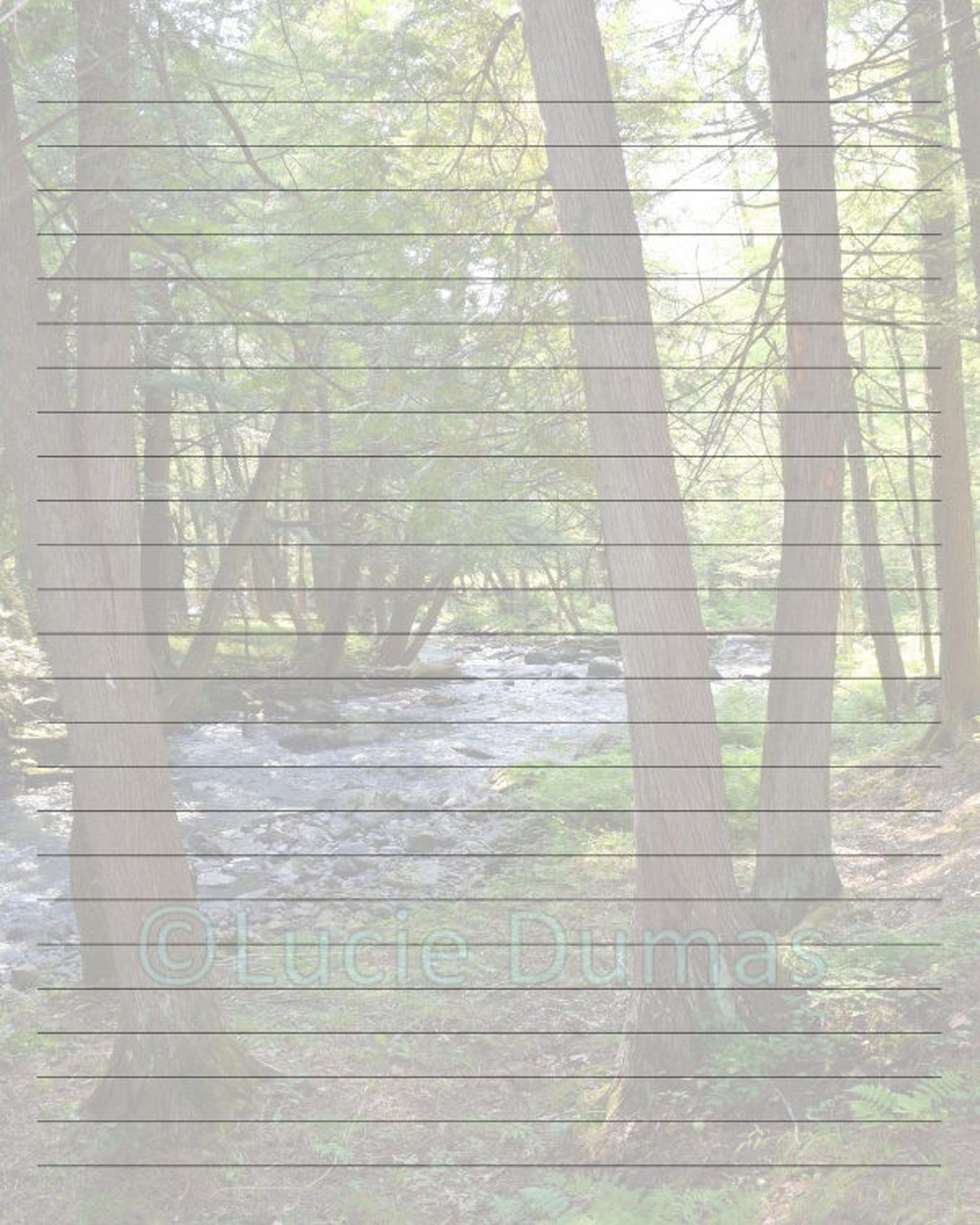Digital Printable Journal Writing Lined Page Photo 27 Forest Stationary ...